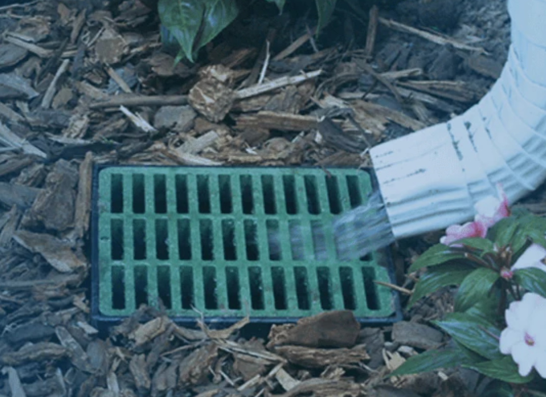 Residential Landscape Drainage Solutions: Water Systems For Plants and ...